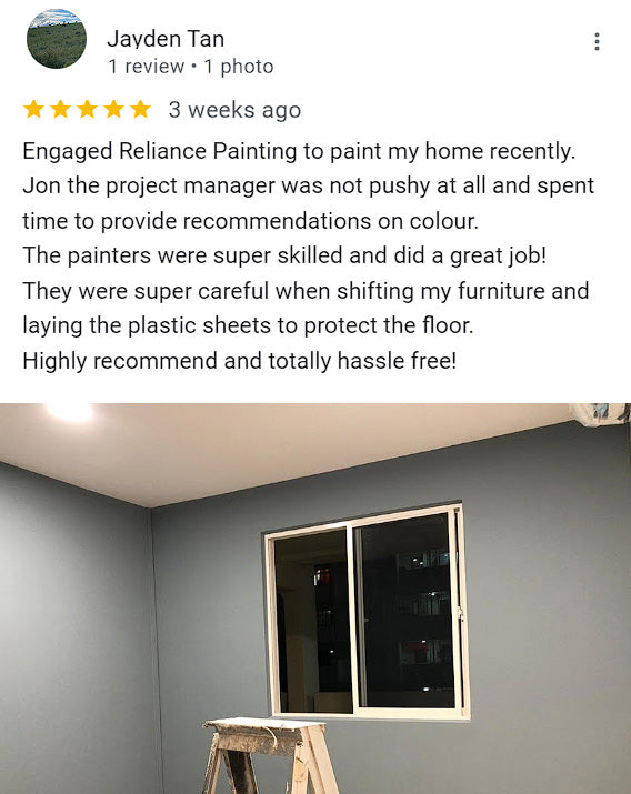 Consultation – Reliance Paints Pte Ltd